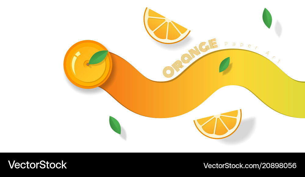Fresh orange fruit background in paper art style Vector Image