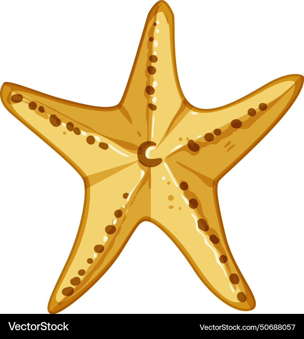 Beach sea star cartoon Royalty Free Vector Image