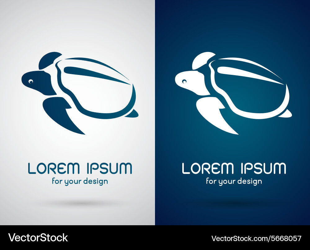 Turtle Royalty Free Vector Image - VectorStock