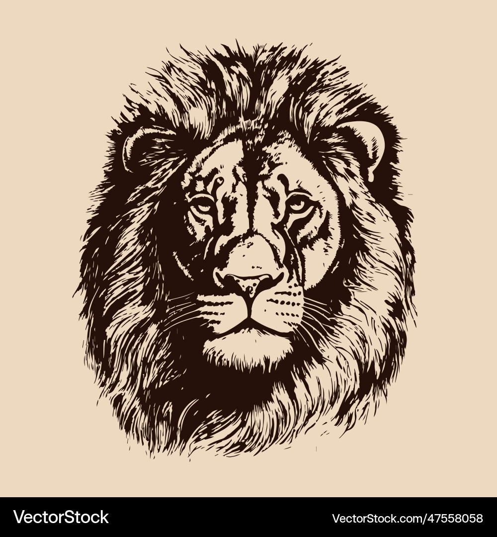 Lion drawing isolated hand drawn engraved style Vector Image