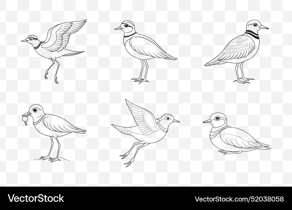 Print plover line art set Royalty Free Vector Image