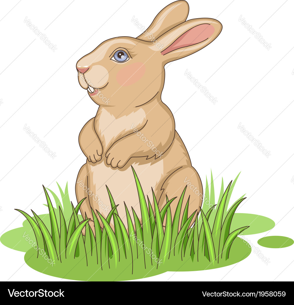 Cute Cartoon Rabbit on Green Grass Royalty Free Vector Image