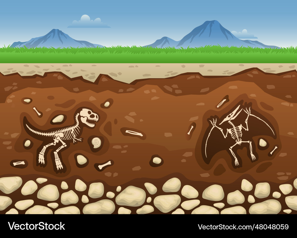 Underground layers with dinosaur bones and fossil Vector Image