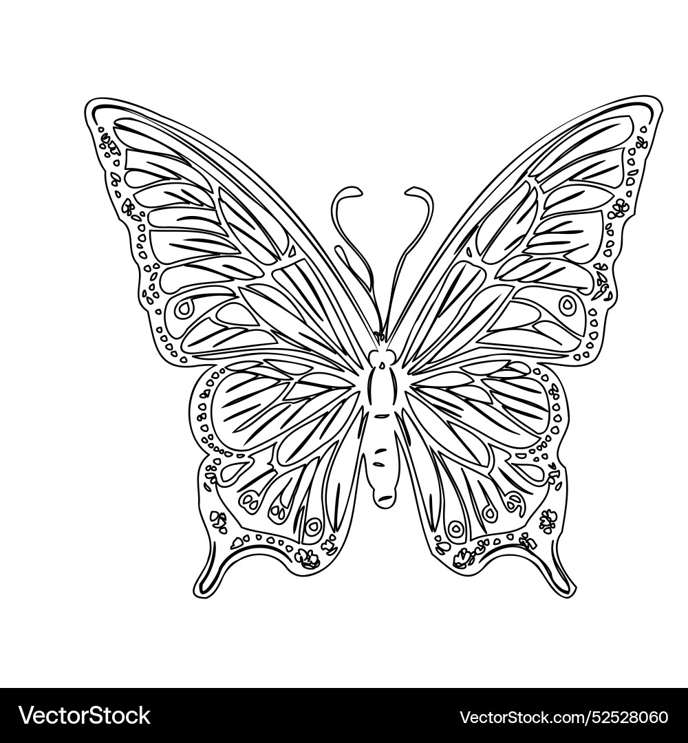 Butterfly animal outline sketch Royalty Free Vector Image