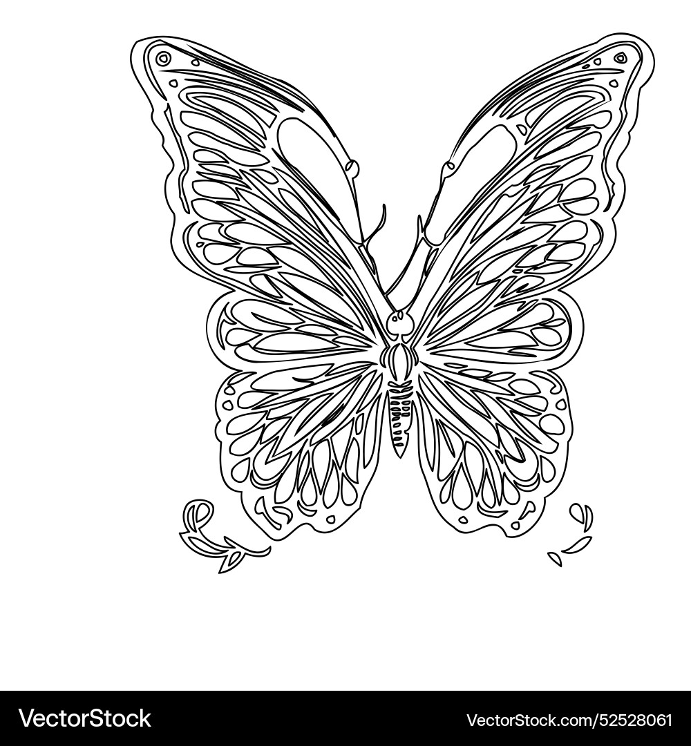 Butterfly animal outline sketch Royalty Free Vector Image