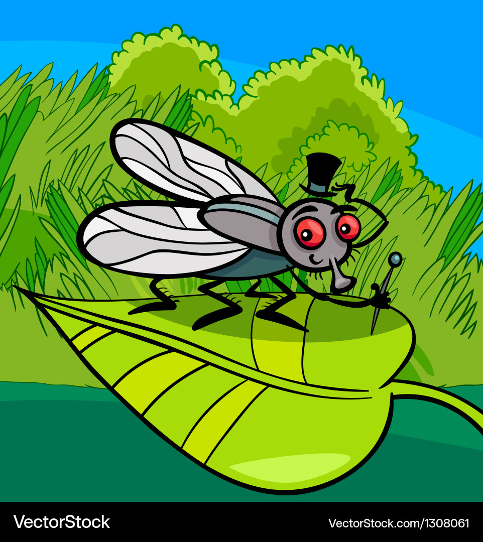 Housefly insect cartoon Royalty Free Vector Image