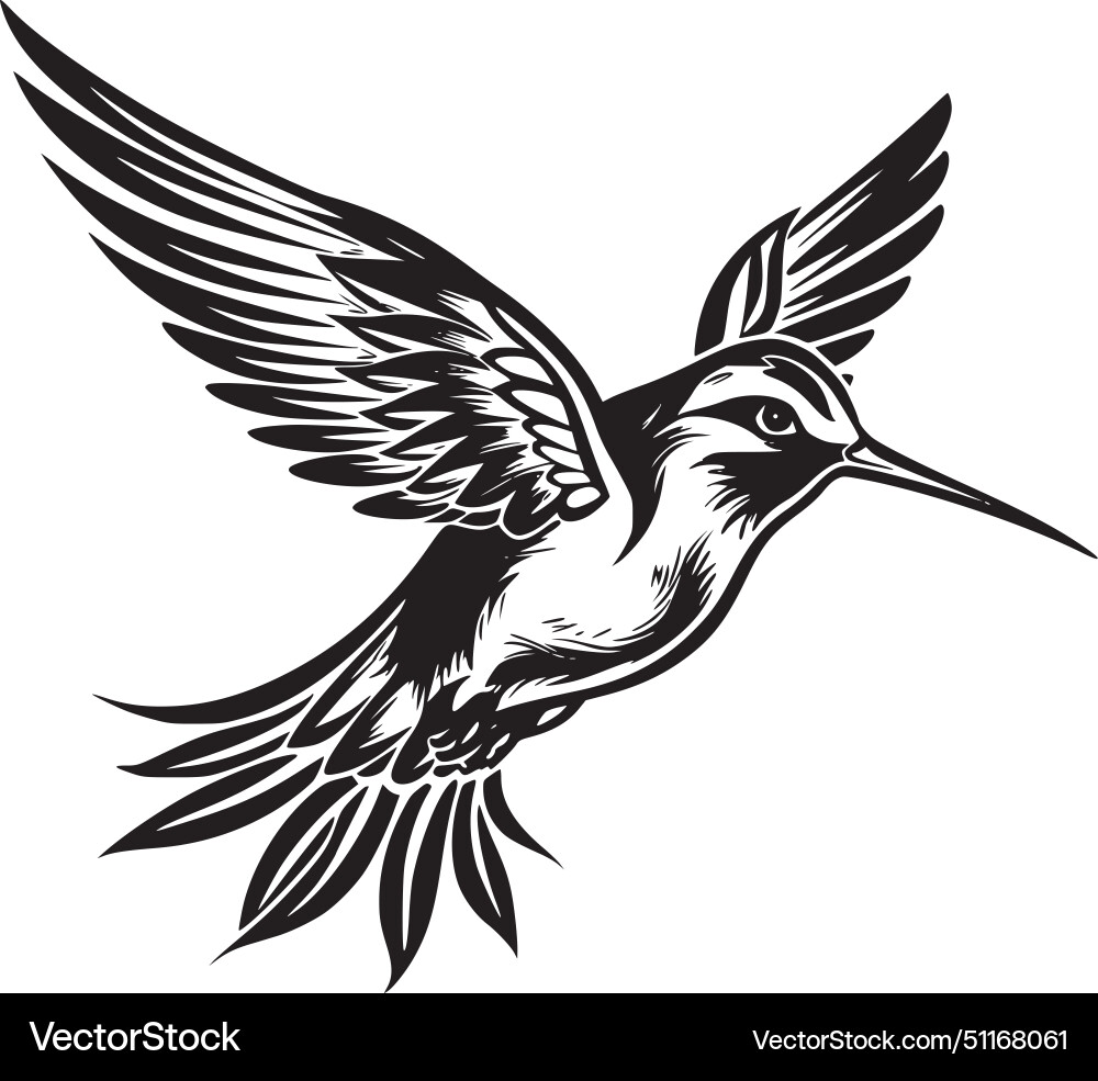 Hummingbird - minimalist and simple silhouette Vector Image