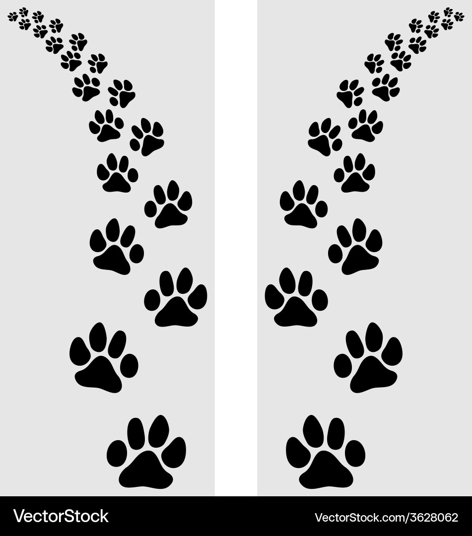 Footstep of cat Royalty Free Vector Image - VectorStock
