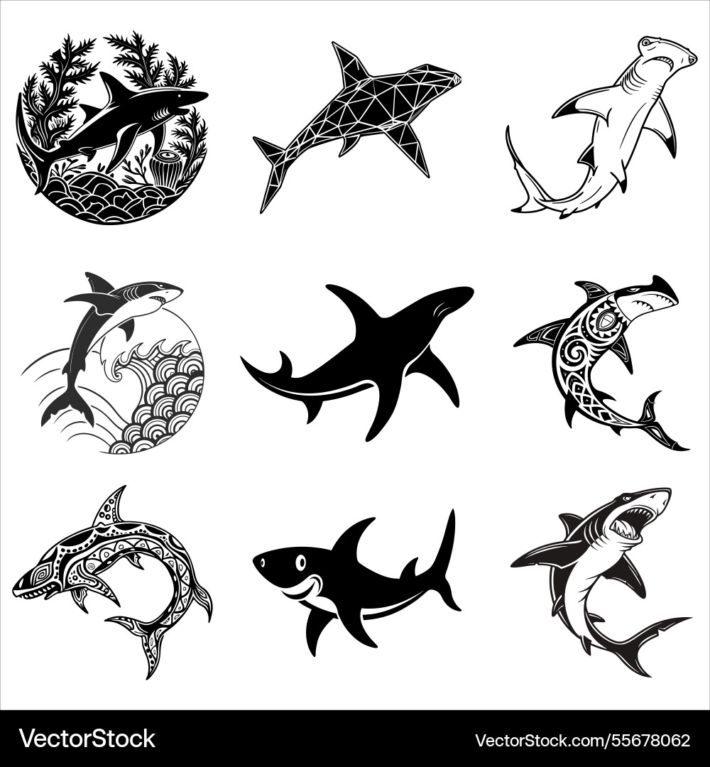 Hammerhead shark Royalty Free Vector Image - VectorStock