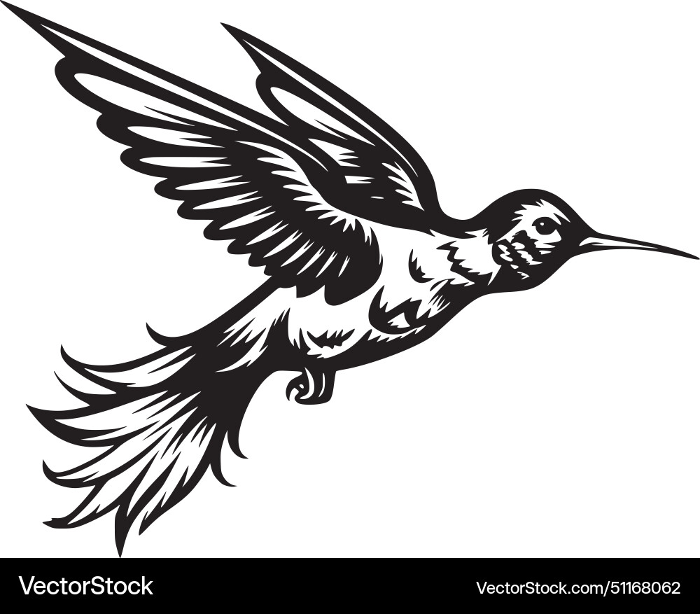 Hummingbird - high quality logo - ideal for Vector Image