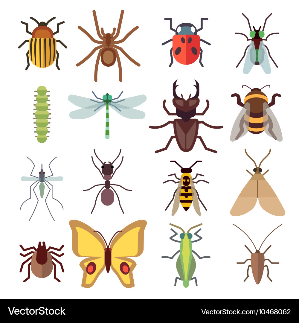Insect flat icons isolated on white Royalty Free Vector