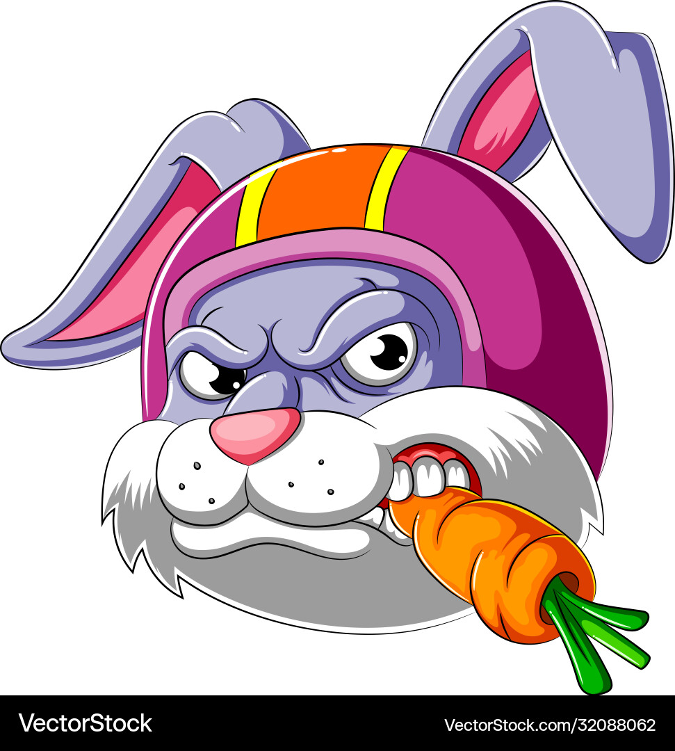 Rabbit wearing helmet racer Royalty Free Vector Image