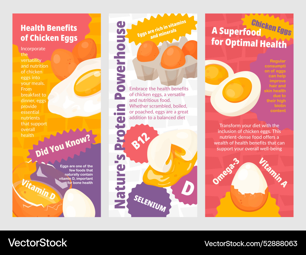 A colorful pamphlet presents the nutritional Vector Image