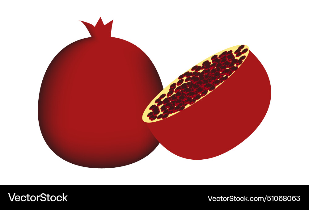 Pomegranate design Royalty Free Vector Image - VectorStock