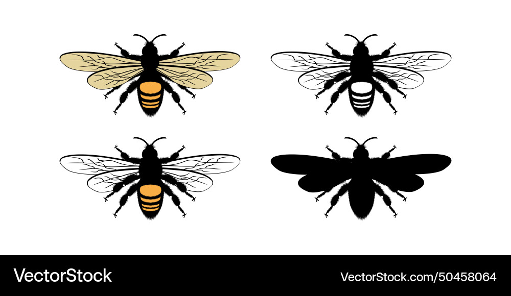 Bee character design Royalty Free Vector Image