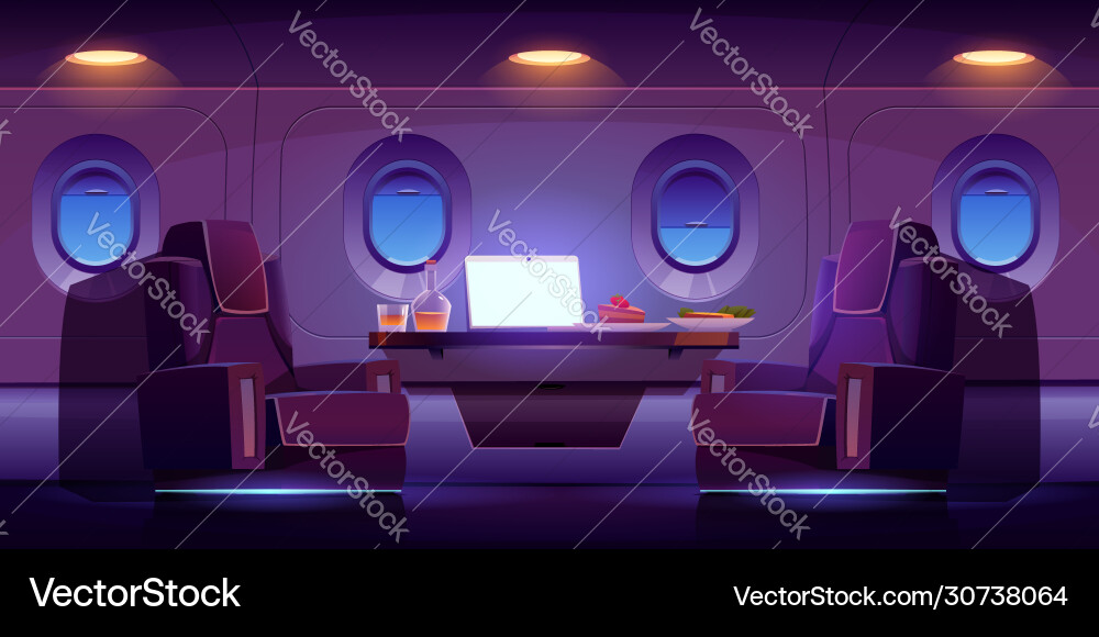 Private jet plane interior luxury airplane cabin Vector Image