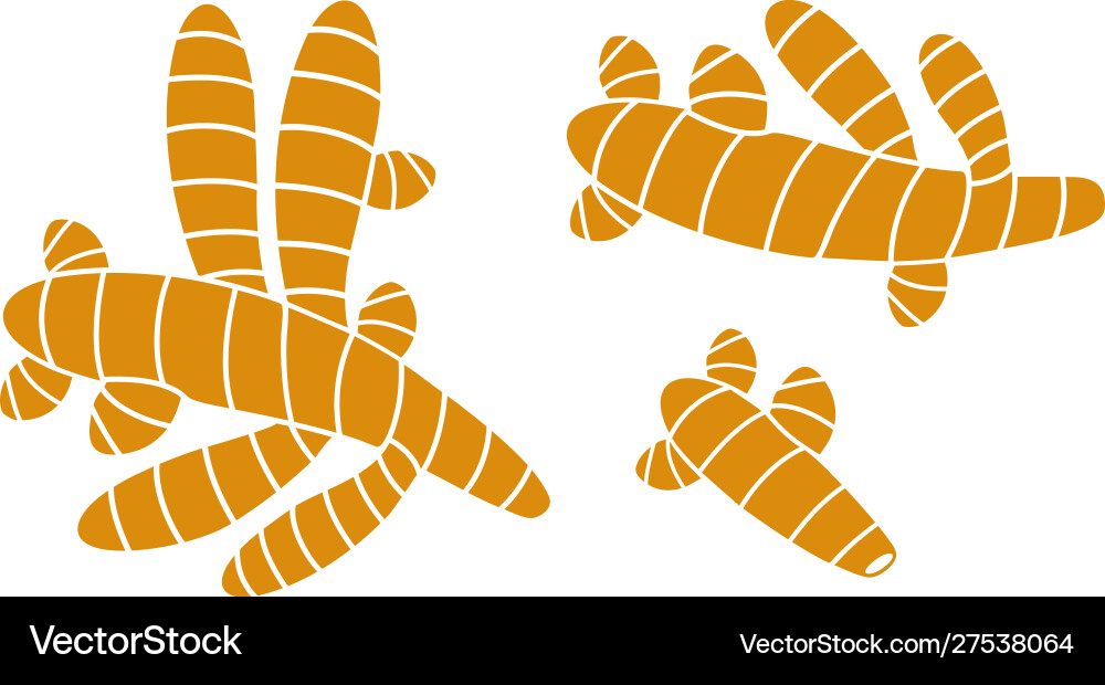 Turmeric Royalty Free Vector Image - VectorStock