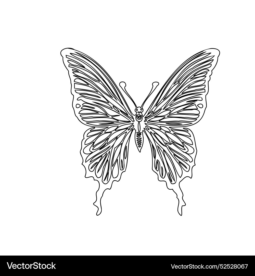 Butterfly animal outline sketch Royalty Free Vector Image