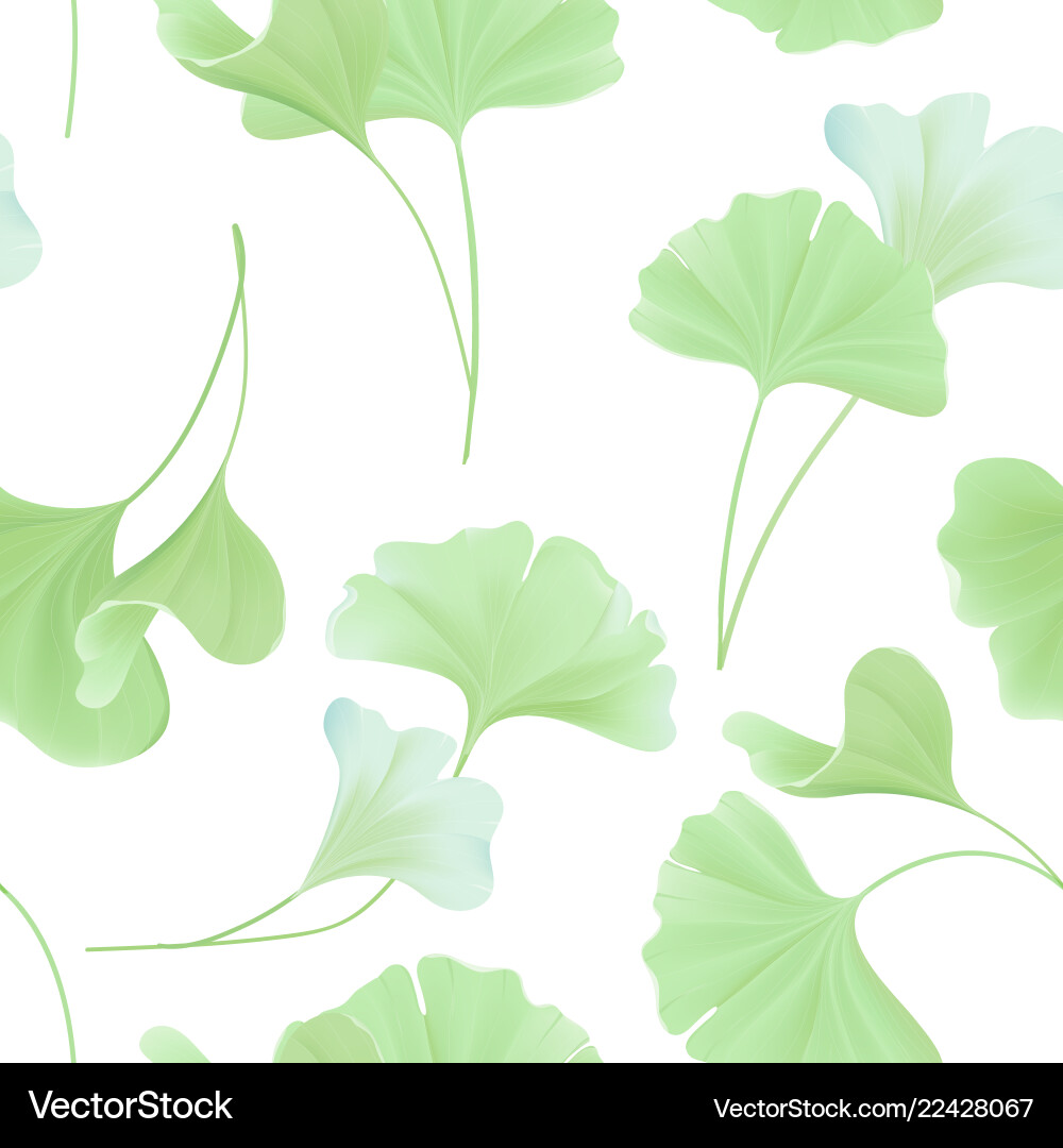 Floral seamless pattern with japanese gingko Vector Image