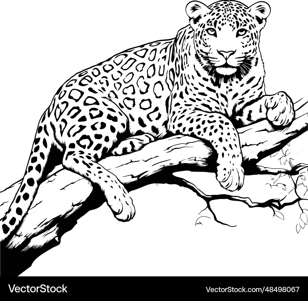 Leopard lying on a tree branch line art ai Vector Image