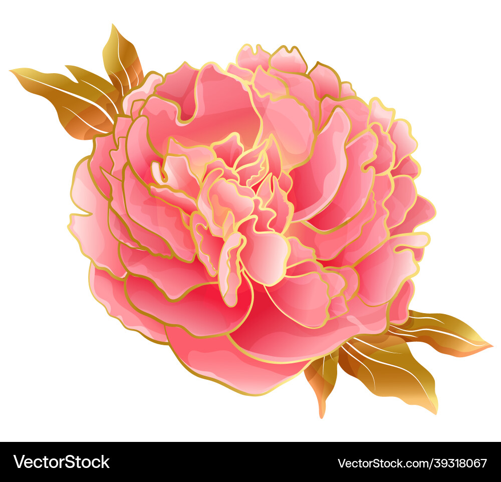 Pastel Pink Peony Floral Decor Royalty Free Vector Image