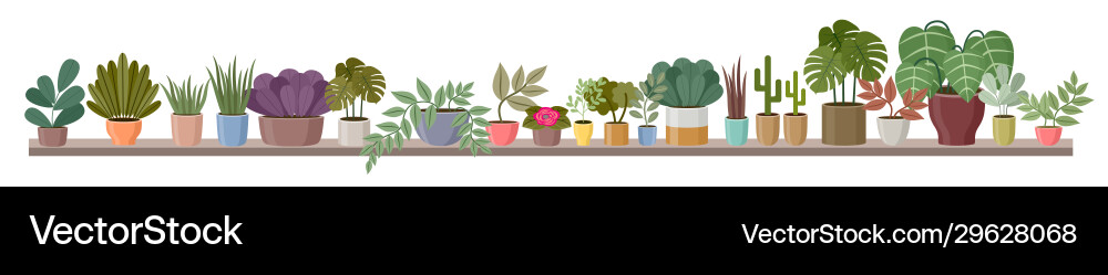 Shelf with home plants is long Royalty Free Vector Image