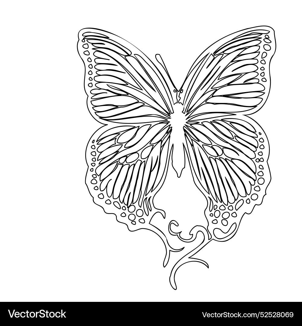 Butterfly animal outline sketch Royalty Free Vector Image