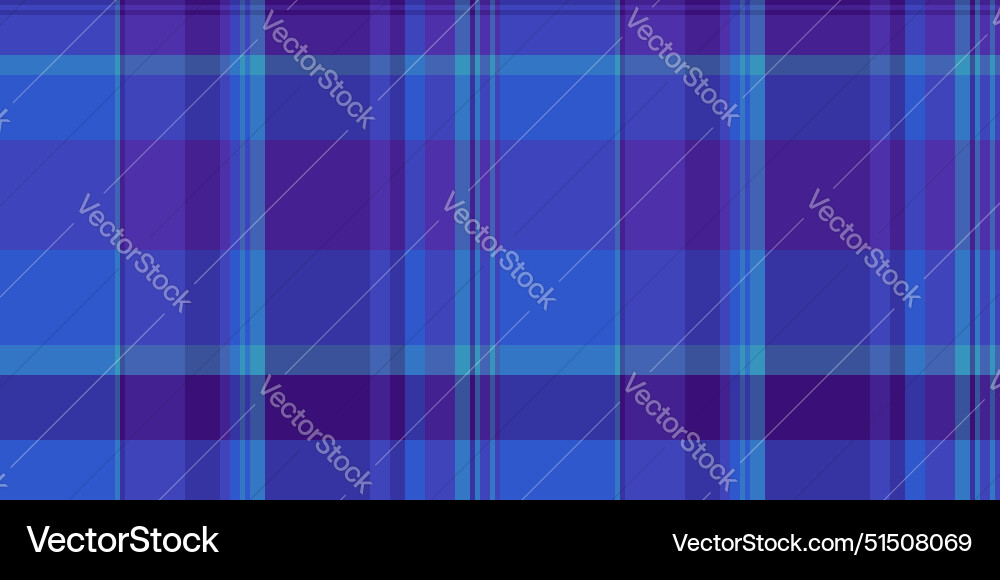 Oilcloth plaid pattern 1950s texture background Vector Image