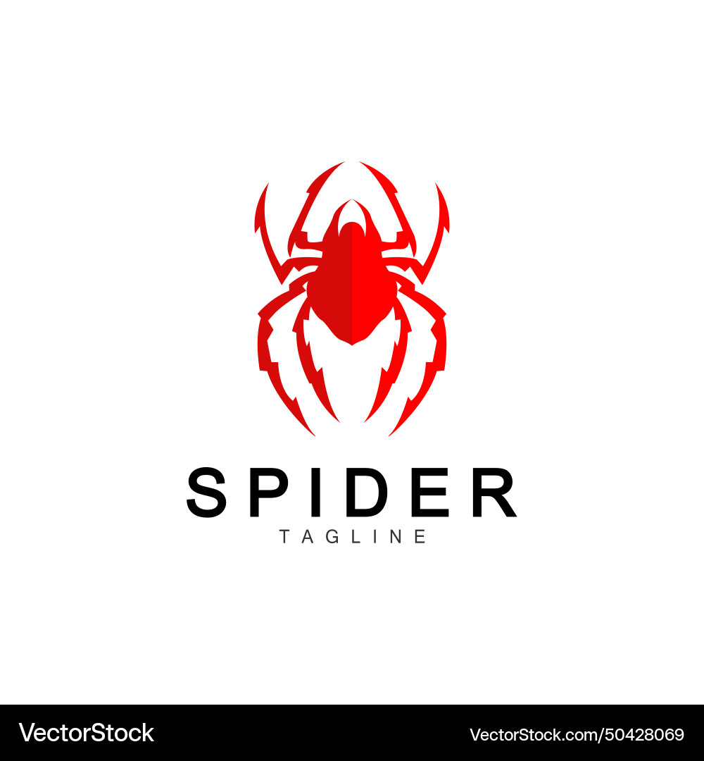 Spider logo insect animal minimalist design Vector Image