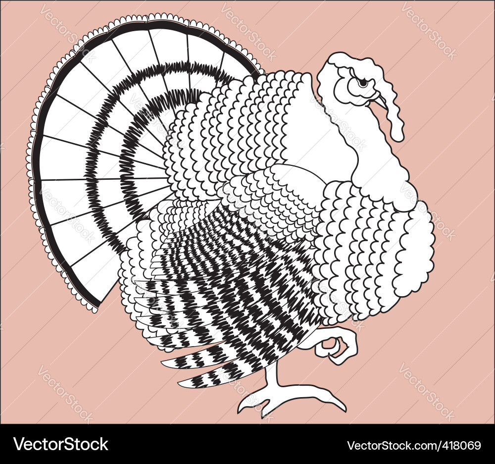 Turkey Royalty Free Vector Image - VectorStock