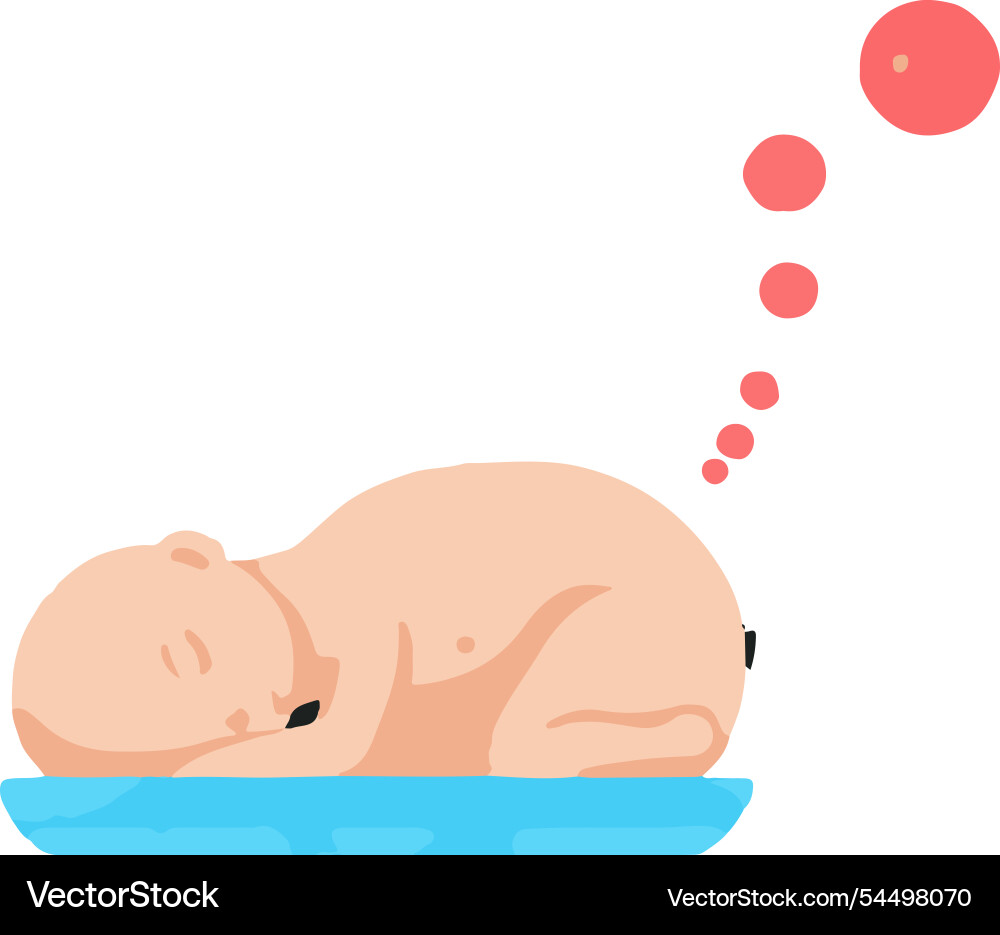 Reproduction human development embryo brain life Vector Image