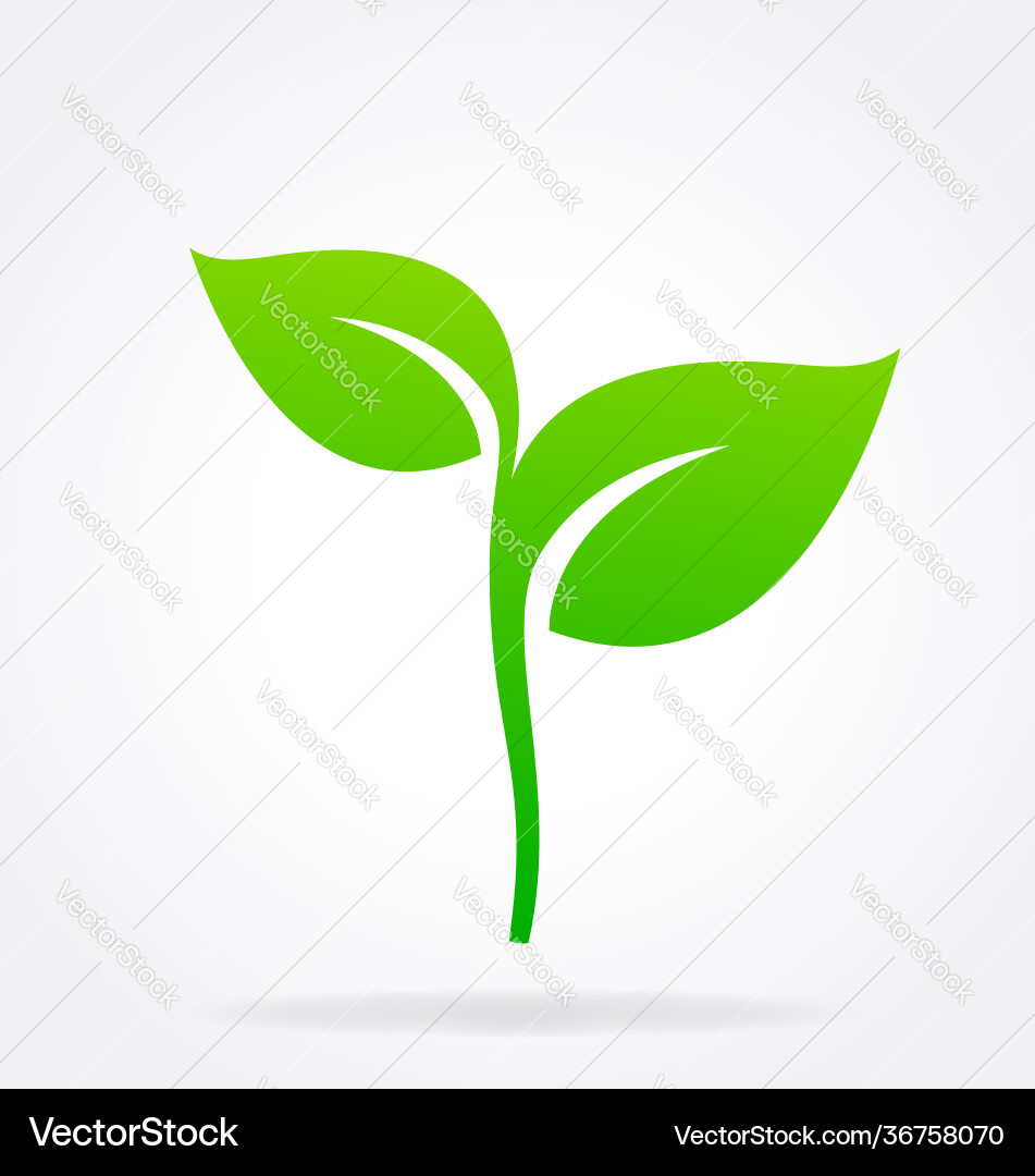 Stylized lush green seedling leaf with stem Vector Image