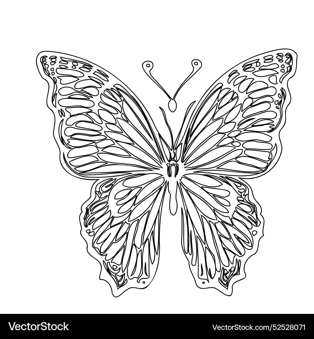 Butterfly animal outline sketch Royalty Free Vector Image