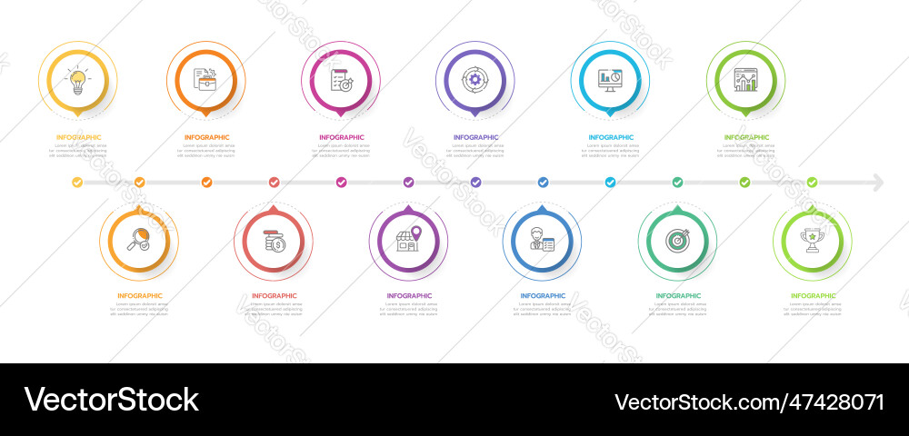 Infographic 12 months timeline calendar chart Vector Image