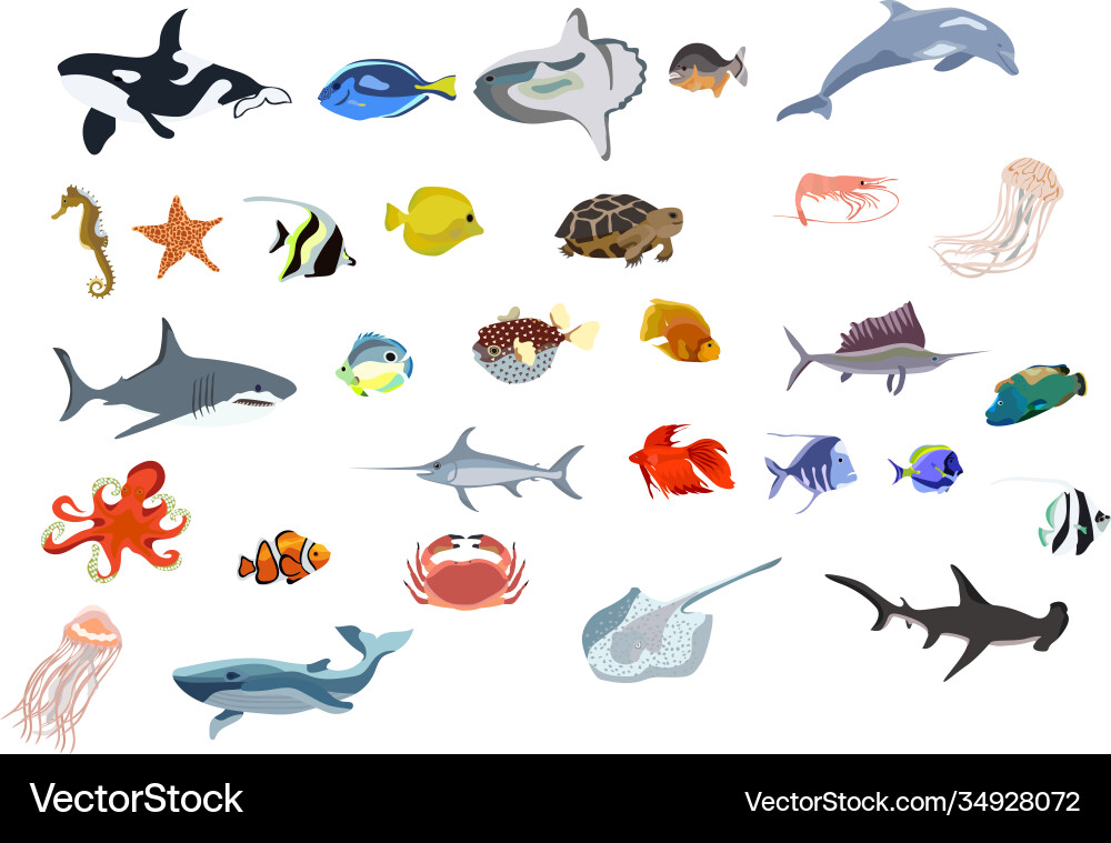 Diverse Sea Animals Collection Royalty Free Vector Image