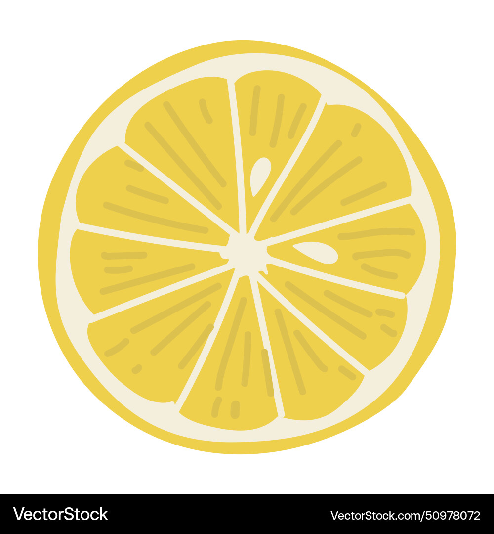 Lemon single 11 Royalty Free Vector Image - VectorStock
