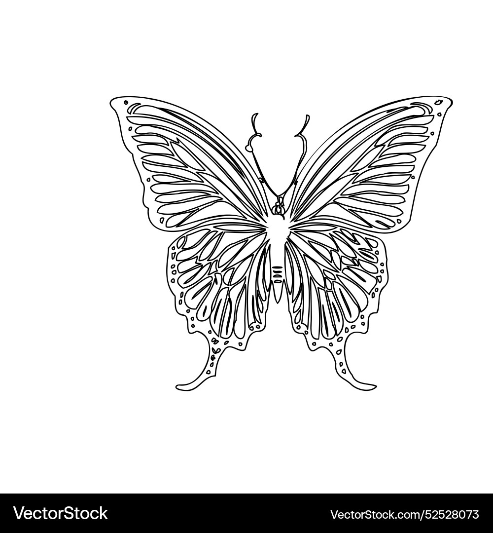 Butterfly animal outline sketch Royalty Free Vector Image