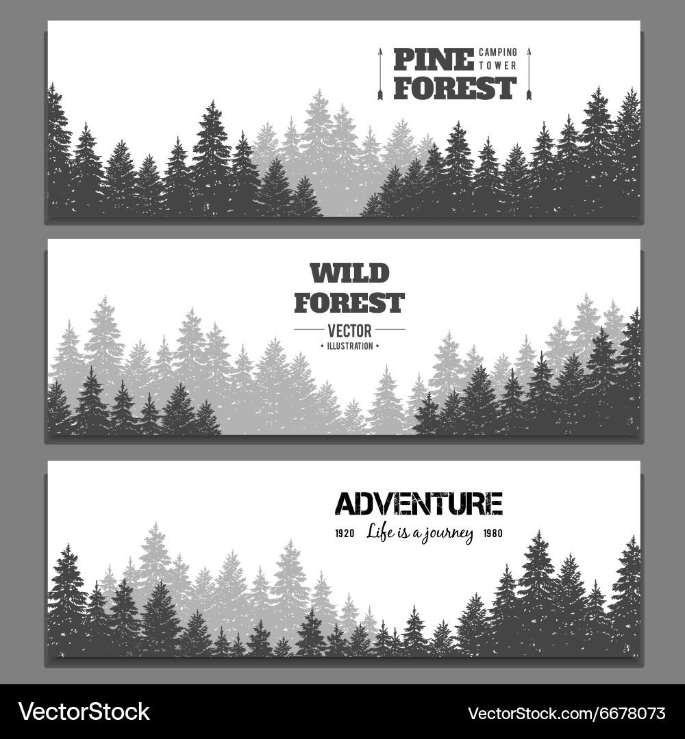 Serene Pine Forest Banner Set Royalty Free Vector Image