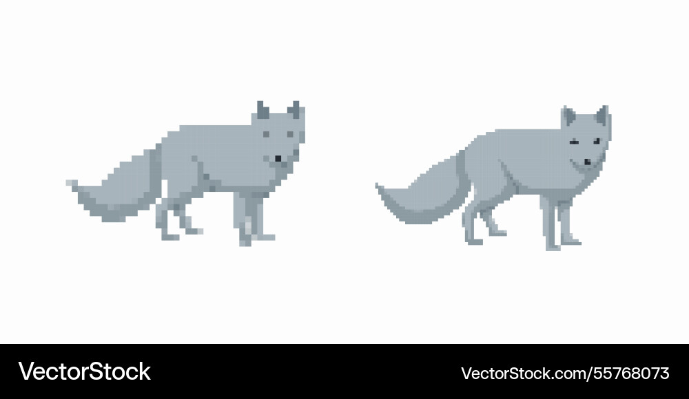 Two pixel art wolves showing unique simple Vector Image