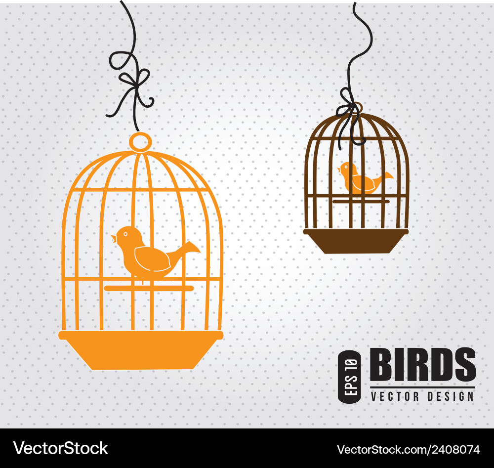 Bird design over white background Royalty Free Vector Image