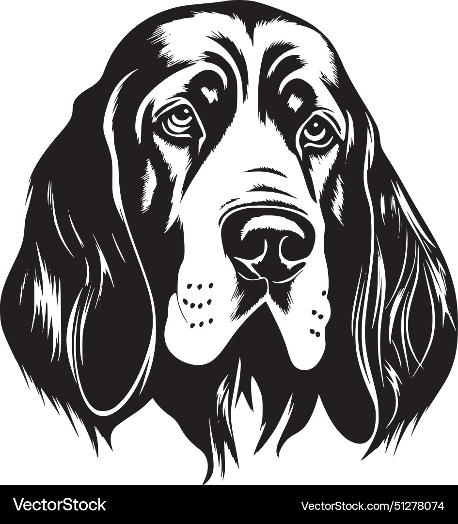Bloodhound - black and white isolated icon Vector Image