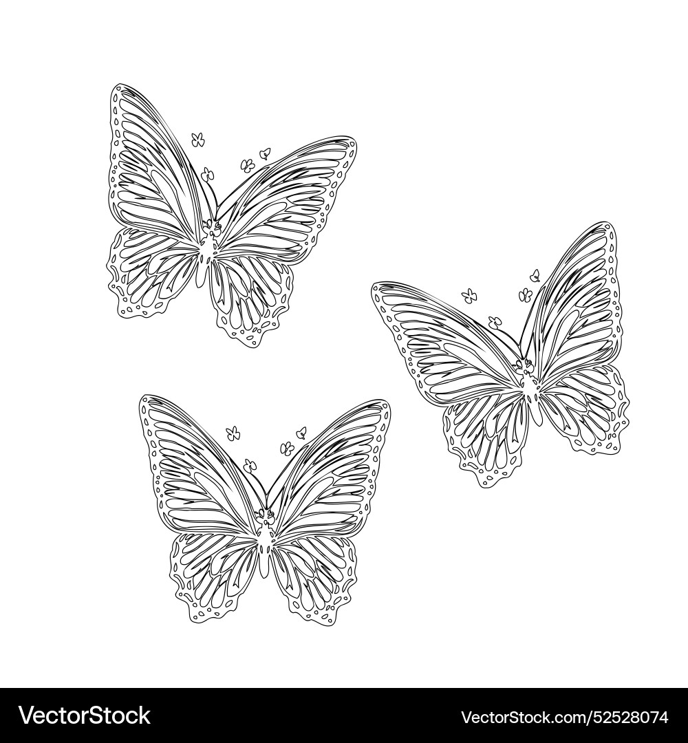 Butterfly animal outline sketch Royalty Free Vector Image