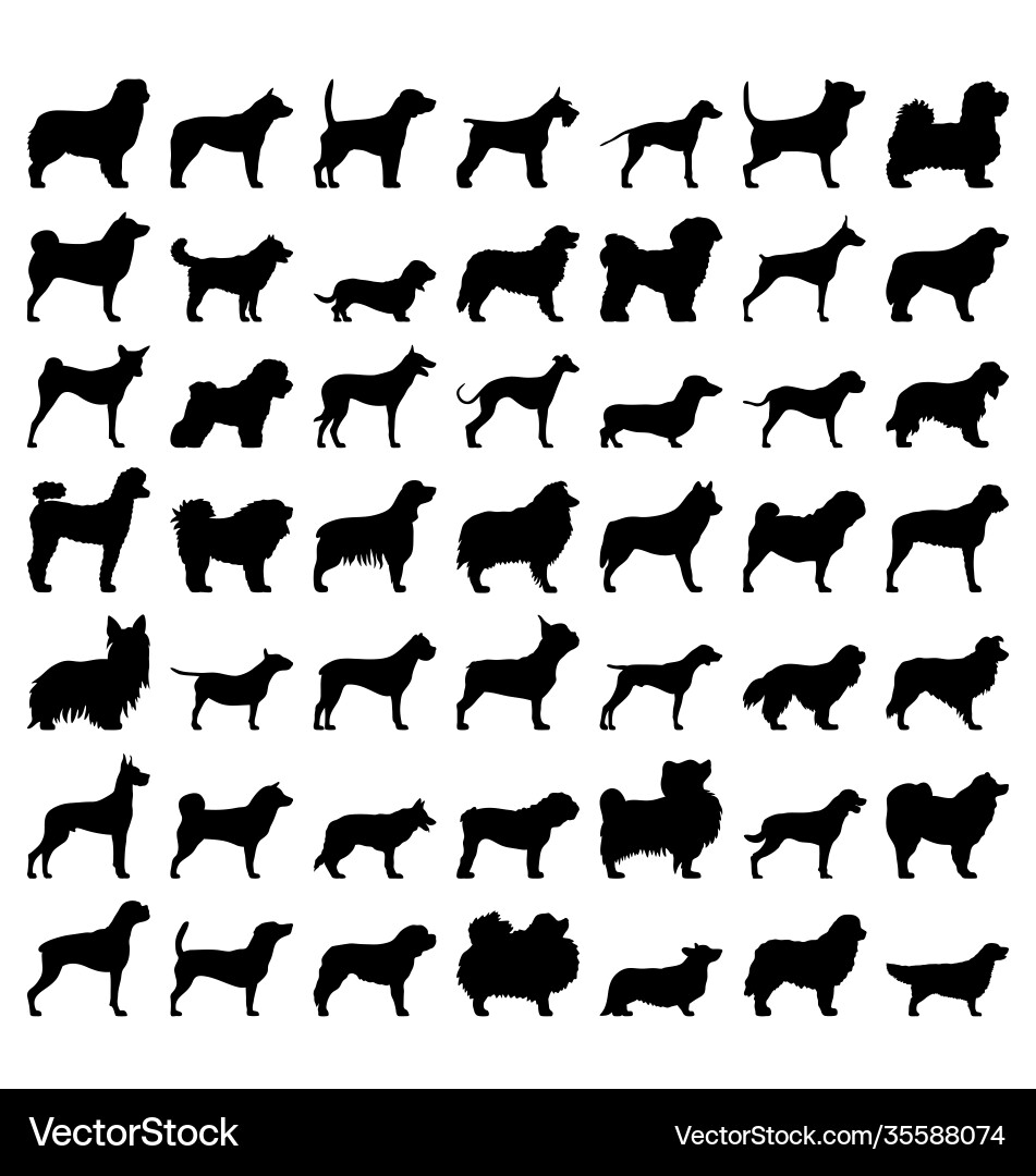 Dogs Royalty Free Vector Image - VectorStock