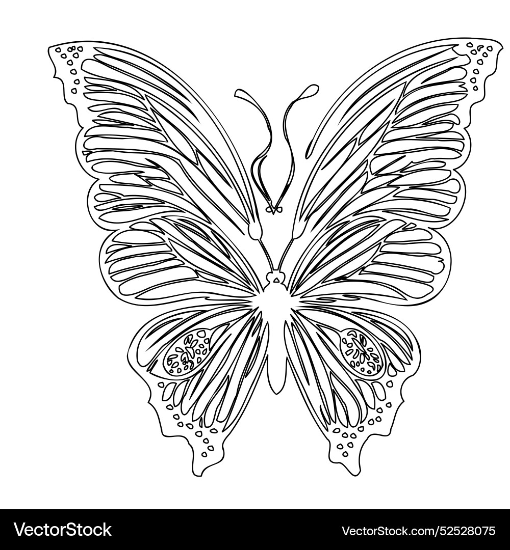 Butterfly animal outline sketch Royalty Free Vector Image