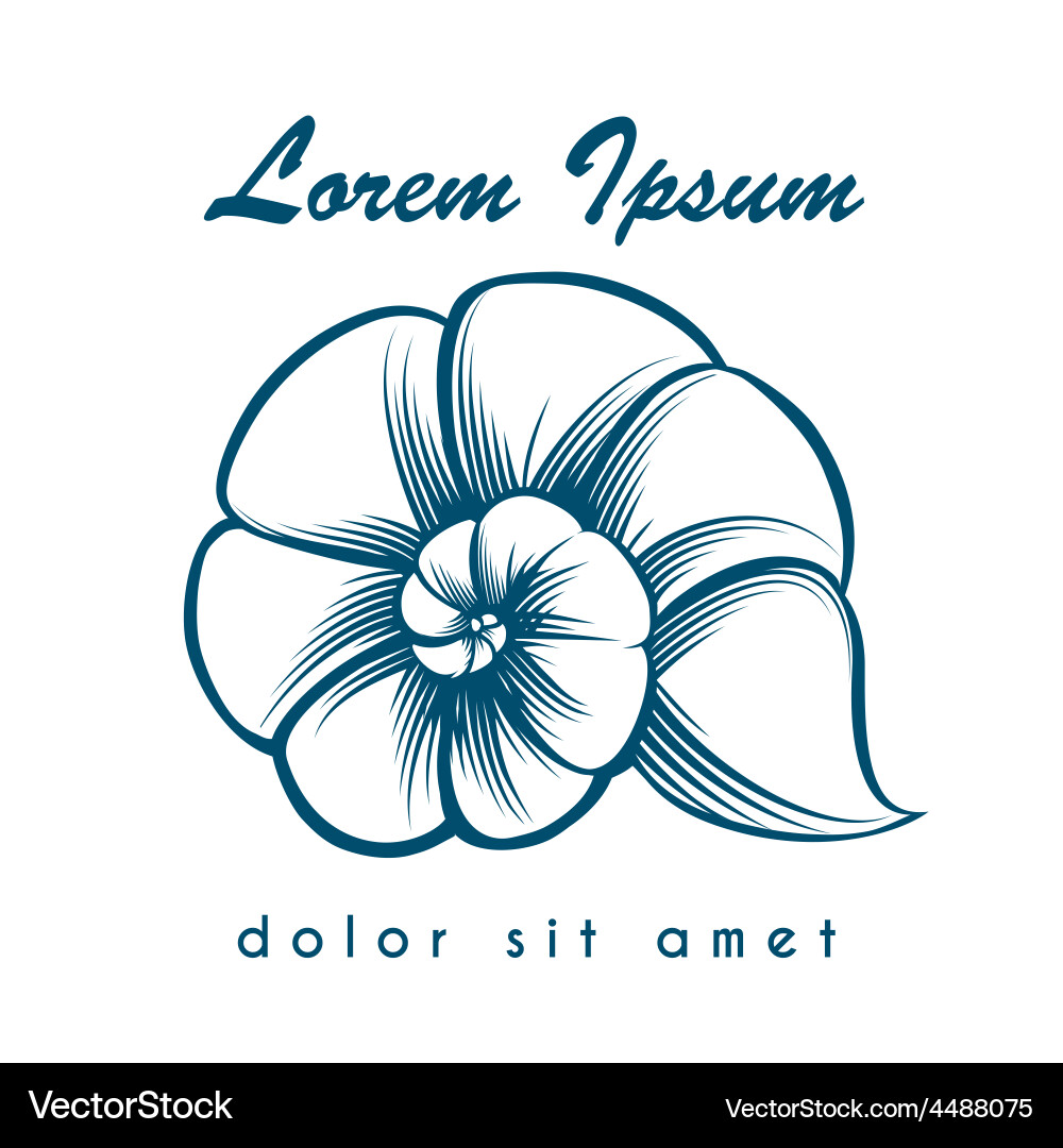 Elegant Seashell Logo Royalty Free Vector Image