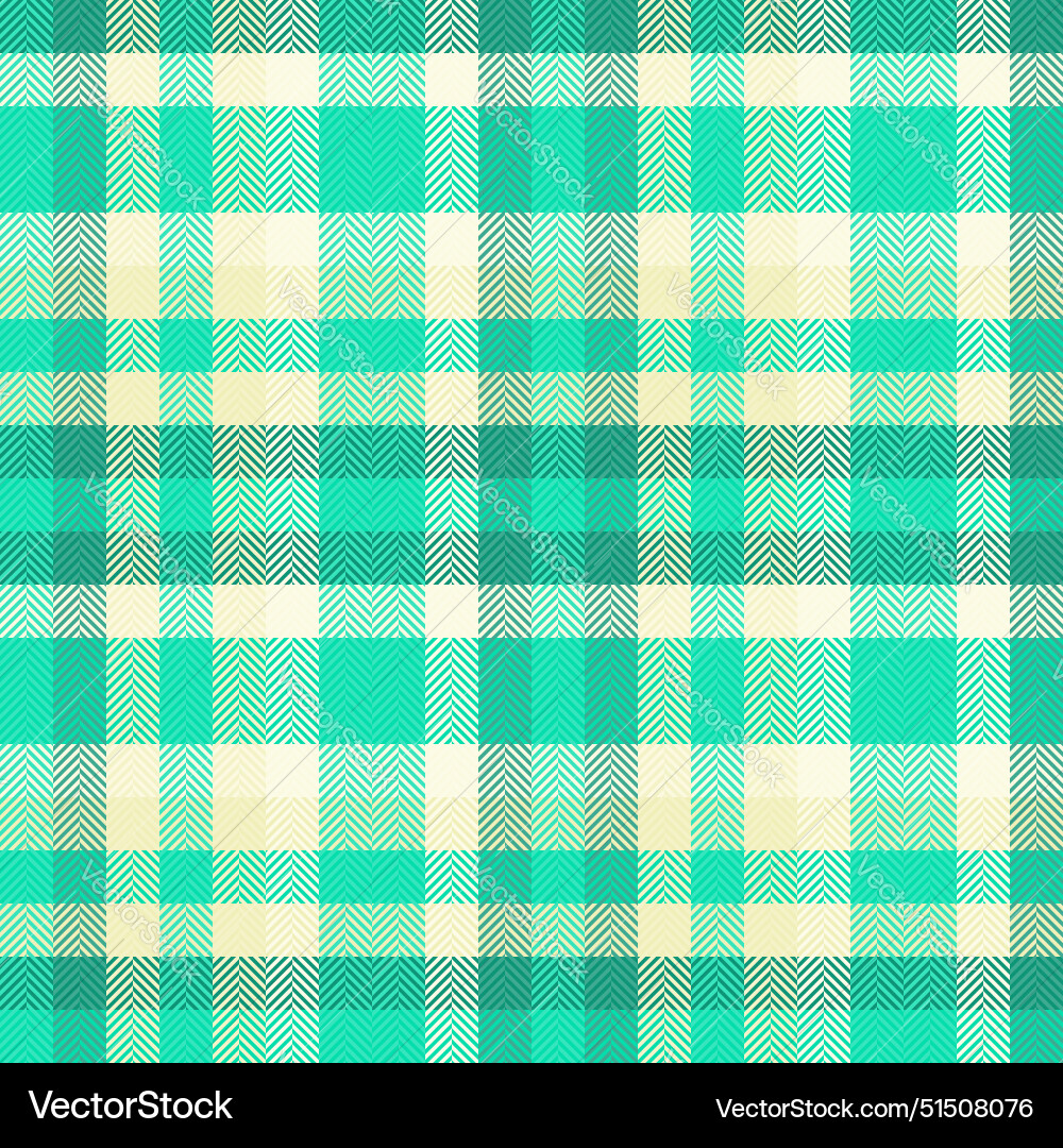 Adorable pattern plaid track fabric check texture Vector Image