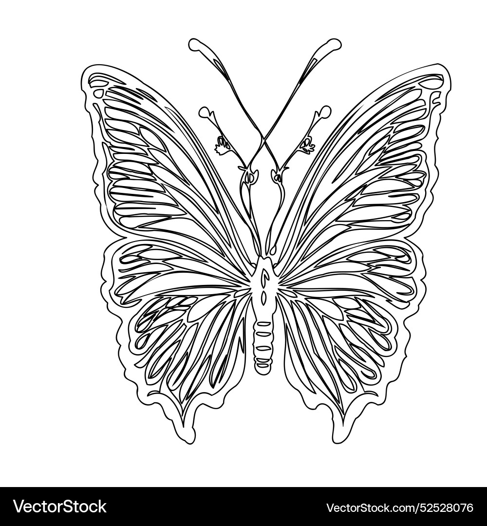 Butterfly animal outline sketch Royalty Free Vector Image
