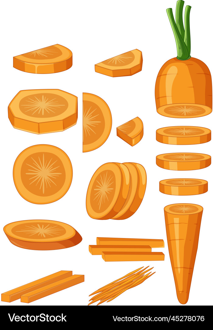 Carrot in whole and sliced pieces Royalty Free Vector Image