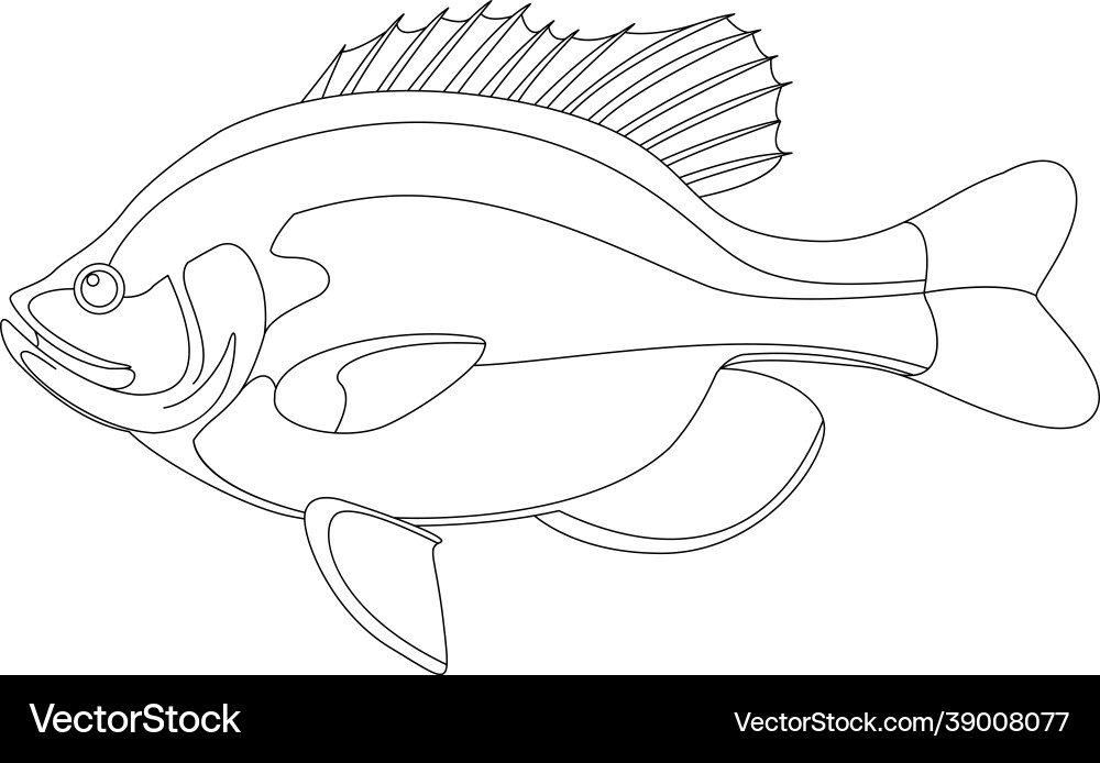 Bluegill fish lining draw side Royalty Free Vector Image