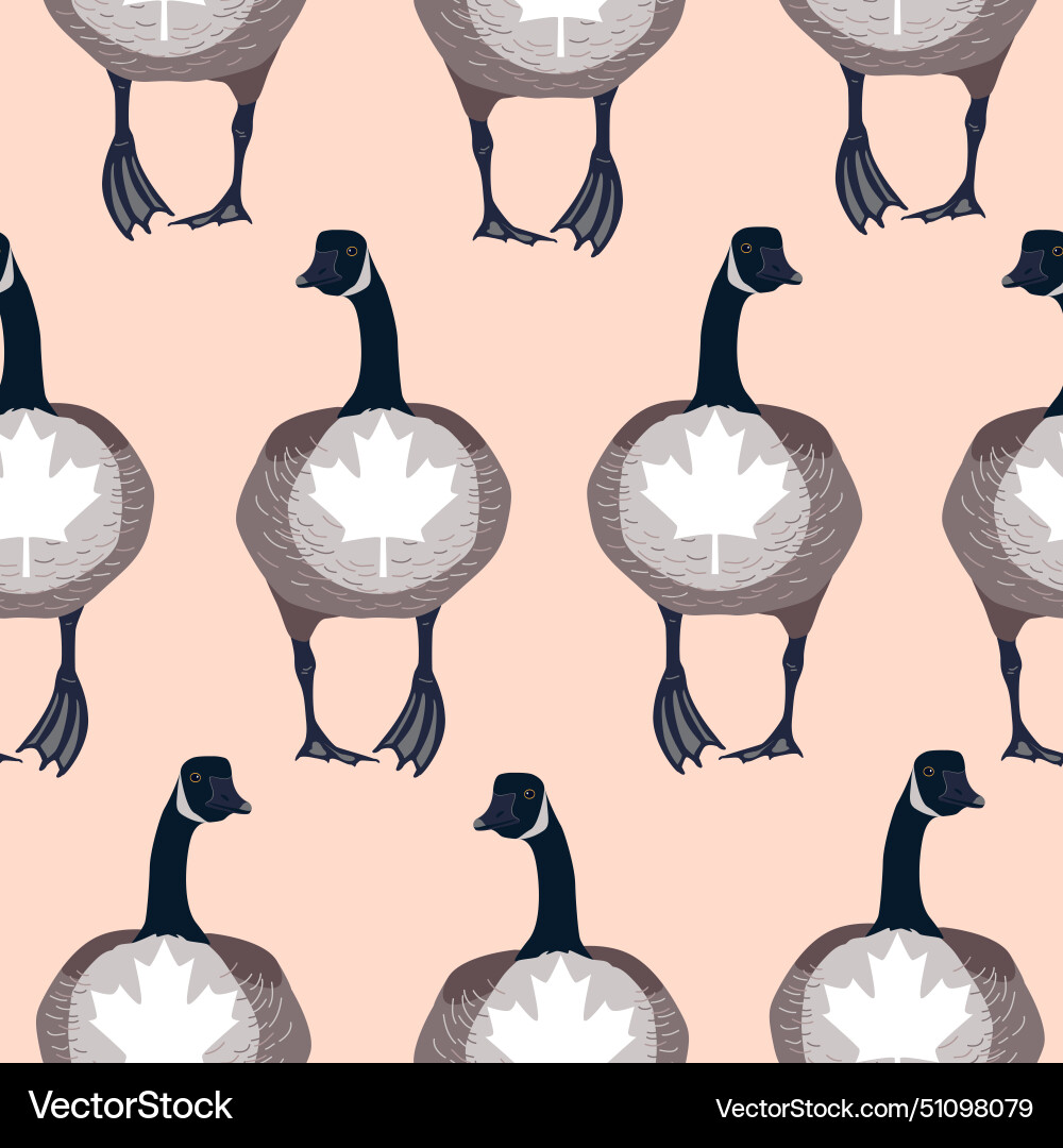 Canada goose bird with canadian flag maple leaf Vector Image